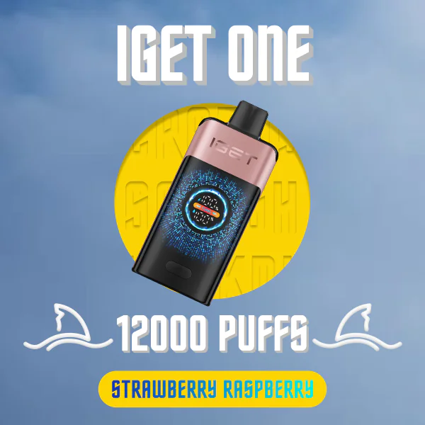IGET One 12000 Puffs | For Sale From $28